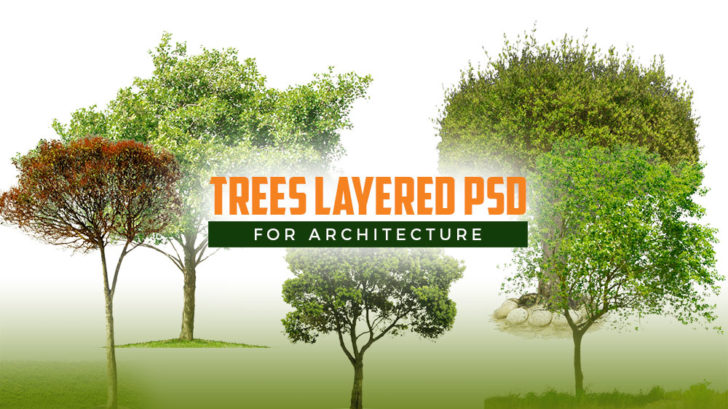 Trees Layered PSD file for Architecture free download - PsFiles