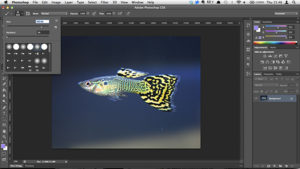 62 Photoshop shortcuts you need to know - PsFiles