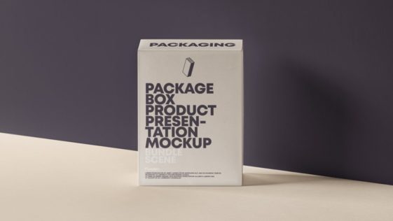 Free Standing Slide Package Box Mockup - PsFiles