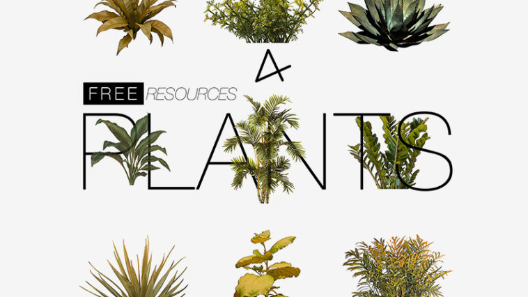 Trees Layered PSD file free download - PsFiles