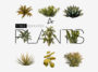 Plant PSD Design Resources for Architects - PsFiles