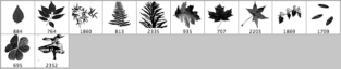 Free Photoshop Leaf Brushes by webdesigner Lab - PsFiles