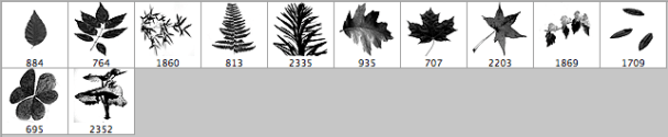 Free Photoshop Leaf Brushes by webdesigner Lab - PsFiles