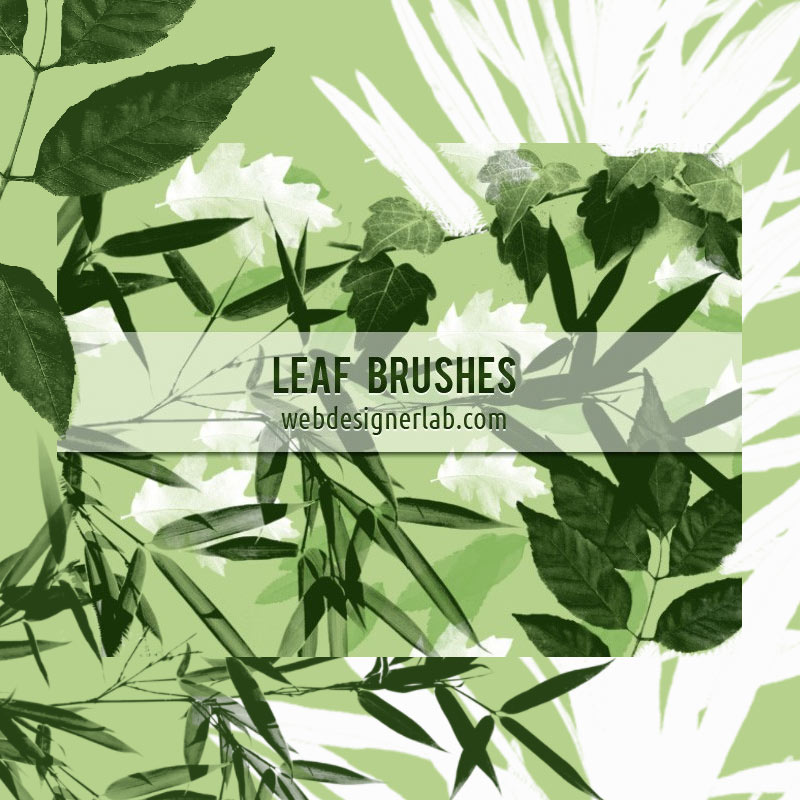 Free Photoshop Leaf Brushes by webdesigner Lab - PsFiles
