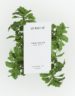 Free Gravity Invitation Card with Plant Mockup PSD - PsFiles