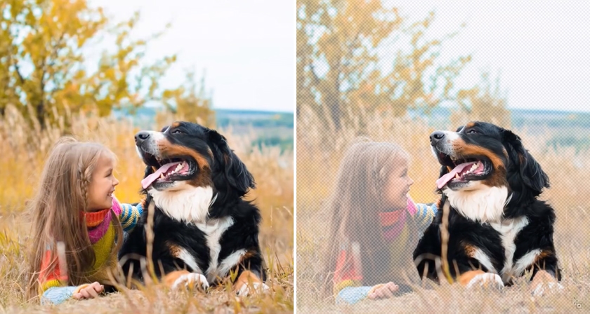 Photoshop's CC 2020 New 'Object Selection Tool' is a Dream come true ...