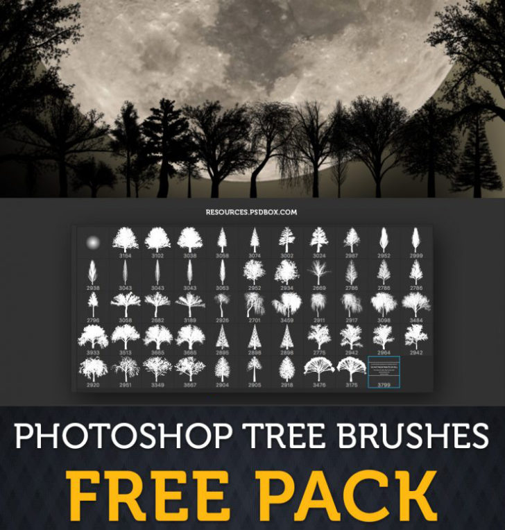Free High-Resolution Tree Brushes Pack - PsFiles - Free PHotoshop Files