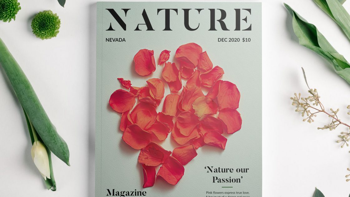 Free Transparent Cover Wrapped Magazine Mockup PSD Set - PsFiles