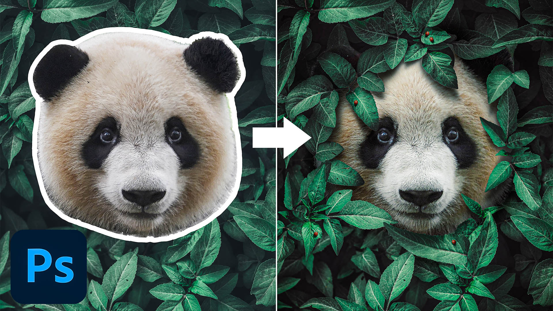 Easily put ANY subject through the Leaves in Photoshop - PsFiles