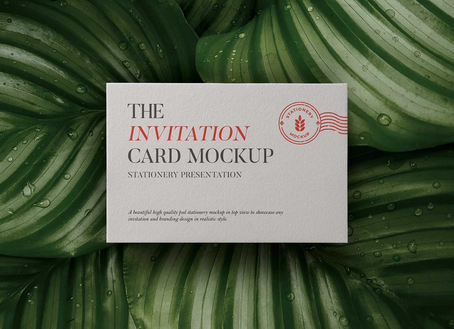 Free Textured Paper Invitation Card Mockup - PsFiles