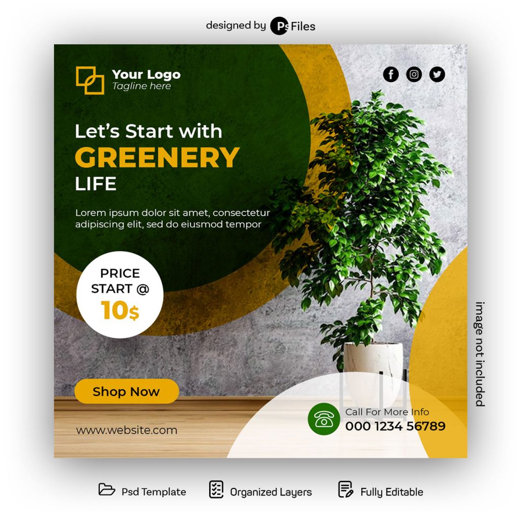 Free Social Media Post Design PSD Template for Indoor Plant Sales - PsFiles