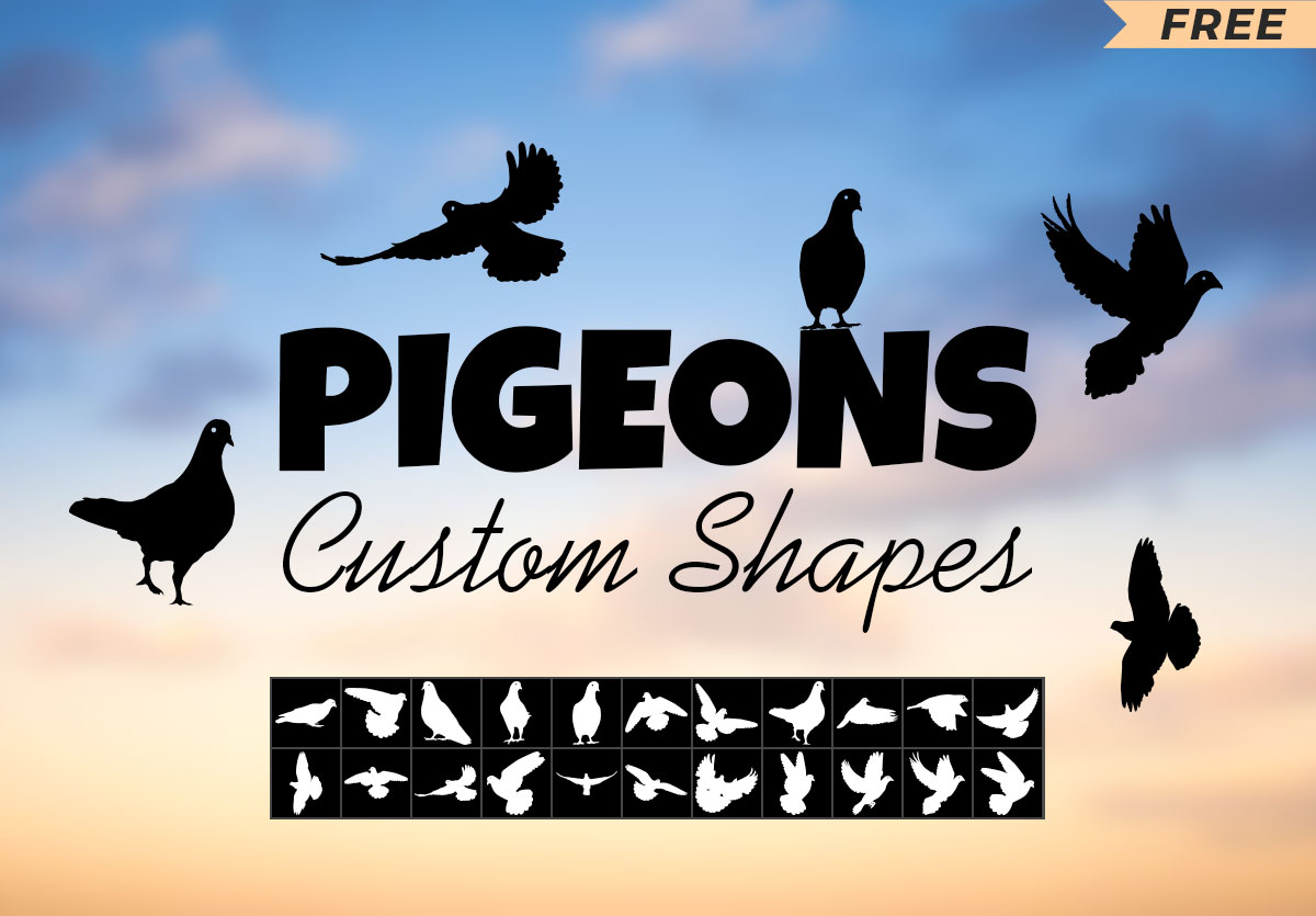 Free Pigeon Photoshop Custom Shapes - PsFiles
