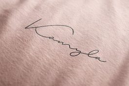 Free Exquisite Fabric Logo Mockup PSD - Free Photoshop Files | PsFiles