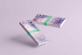 Free Free Banknote Paper Money Stack Mockups PSD Set - PsFiles