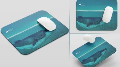 Free Round Mouse Pad Mockup PSD - PsFiles
