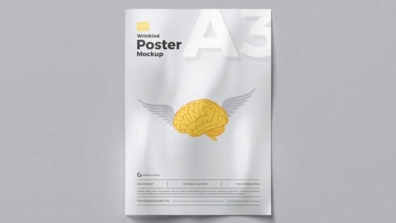 Modern A3 Poster Free Mockup - PsFiles